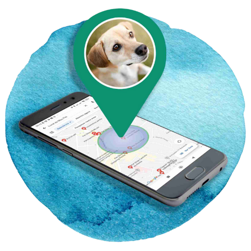 Home - PETMAPS